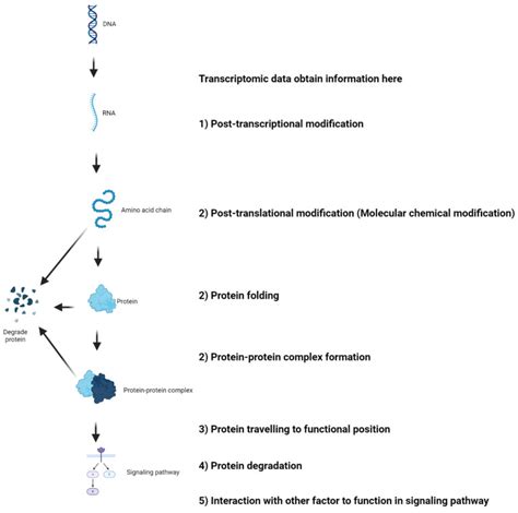 Technical And Biological Biases In Bulk Transcriptomic Data Mining For Cancer Research Pmc