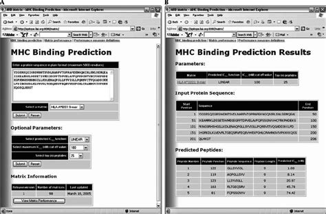 prediction website a prediction input interface b result output page