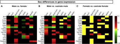 Modular Genetic Control Of Sexually Dimorphic Behaviors Cell