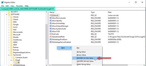 Snagit Editor Not Showing Capture Bestlload