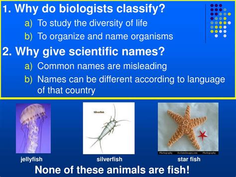 Ppt Why Classify Early Classification Systems 6 Kingdom