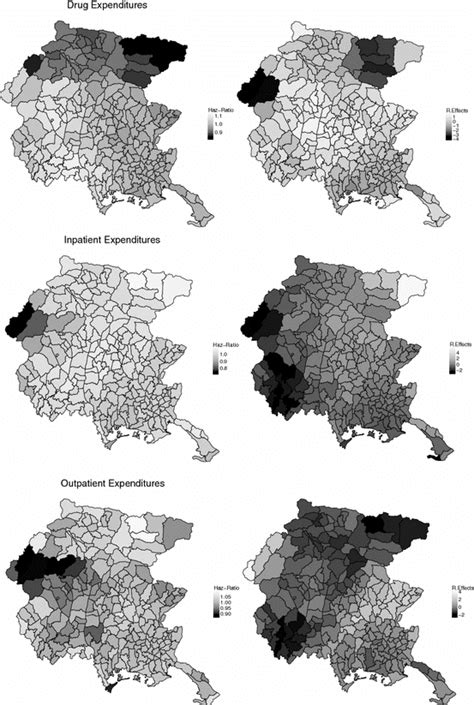 Estimated Spatial Diffusion Processes For The Selection And Outcome