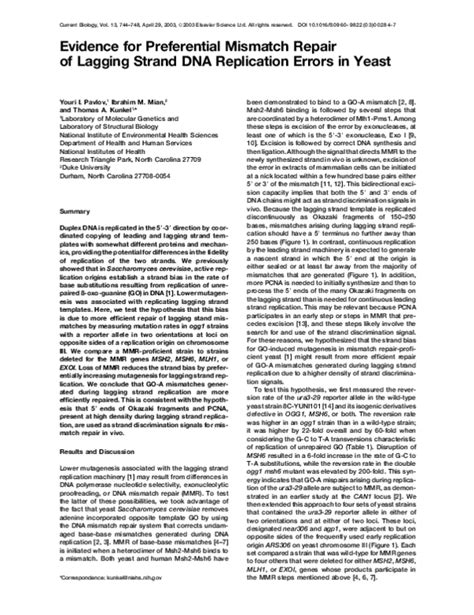 Pdf Evidence For Preferential Mismatch Repair Of Lagging Strand Dna