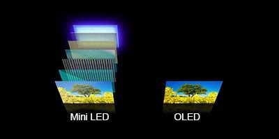 Mini LED Vs OLED Which Display Technology Reigns Supreme News