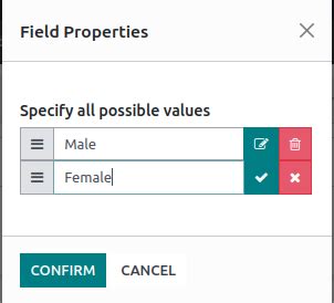 Form View Odoo Studio Book