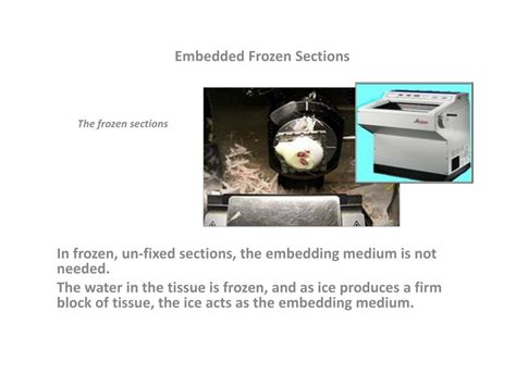 ppt chapter 5 automation infiltration and embedding powerpoint