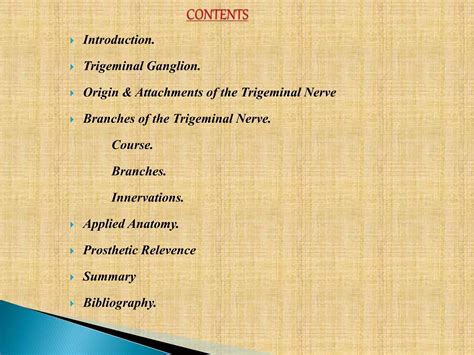 Trigeminal Nerve Anatomy PPTX