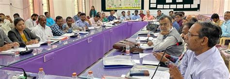 Black Thrips Thrips Parvispinus