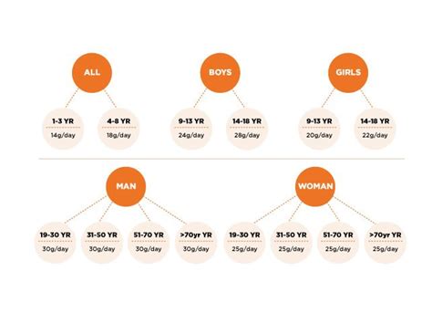 Calculate The Fibre You Need