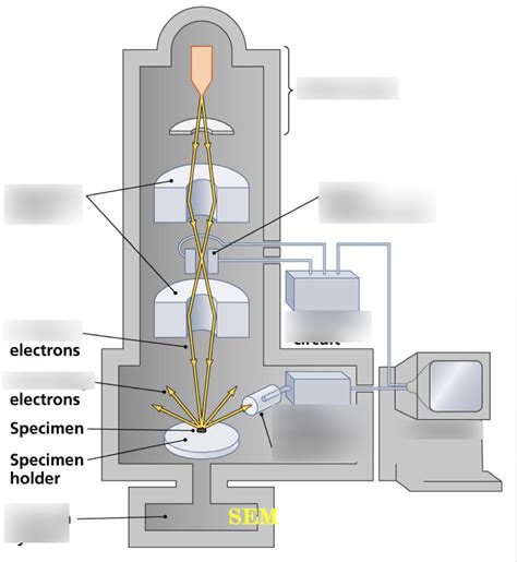 SEM Diagram Quizlet