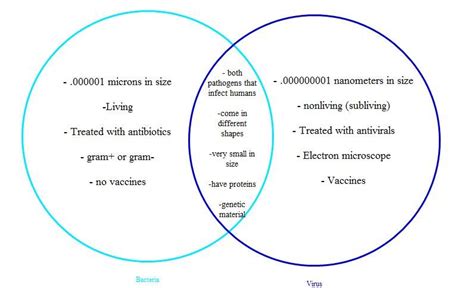 Structural Differences Between Bacteria And Virus Comparison Chart Images And Photos Finder