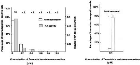 Effect Of Zanamivir On Haemadsorption A Haemadsorption And The Na