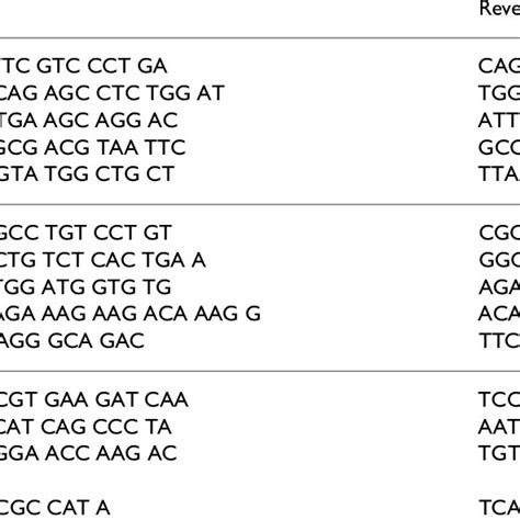 forward and reverse primer sequences for quantitative real time rt pcr