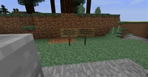 Server Spawn Minecraft Map