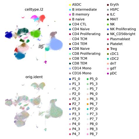 Cite Seq Reference Mapping With Totalvi — Scvi Tools