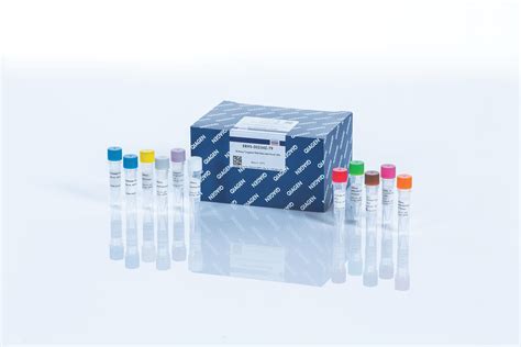 Targeted Rna Sequencing Panels Targeted Rna Seq Library Prep Qiagen