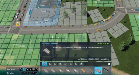 Predestrian Street Bugged Rcitiesskylines