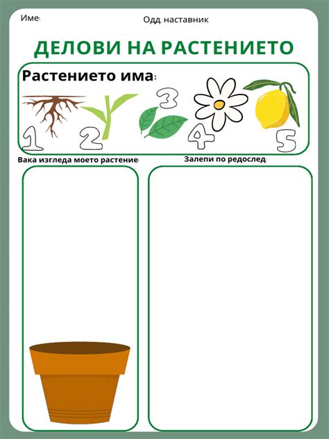 Работен лист делови на растението Pdf
