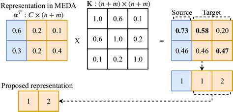 representation of transfer classifier induction for a domain adaptation