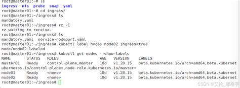 【linux项目】2 7 K8s集群ingress部署的三种方式 Csdn博客