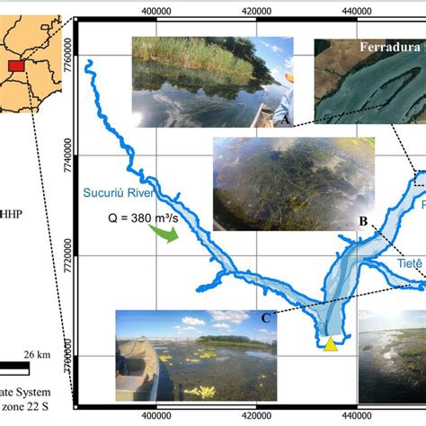 Location Some Of The Macrophyte Species Found And The Depth Of The Download Scientific Diagram