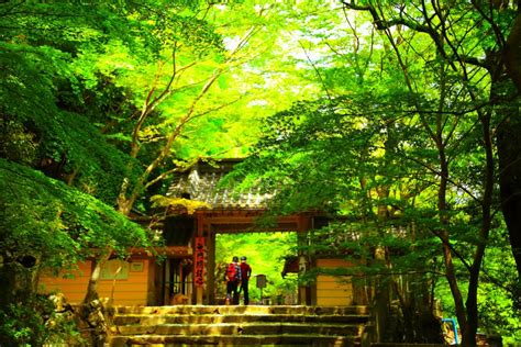 永源寺 雕花人孔蓋 日本滋賀縣旅遊指南 滋賀 琵琶湖