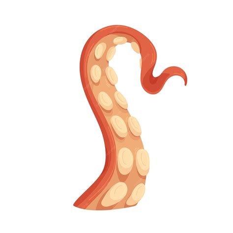 Premium Vector Octopus Tentacle Giant Arm Limb With Suckers Of