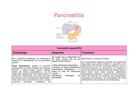 Pancreatitis Aguda Y Crónica Katherine Méndez Udocz