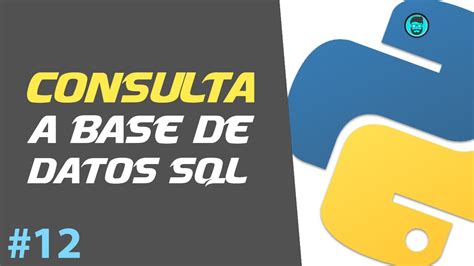 ¿cómo Ejecutar Consultas Sql Desde Python Guía Paso A Paso Para