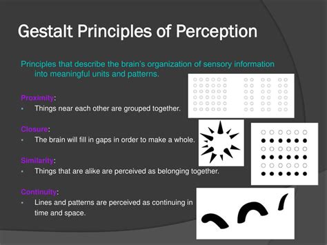 Ppt Sensation And Perception Powerpoint Presentation Free Download
