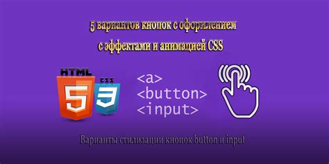 Варианты оформления кнопок Html And Css