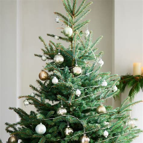 Connectable Micro String Lights West Elm