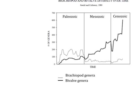 Answered Interpret The Diagram Of Brachiopod Vs … Bartleby