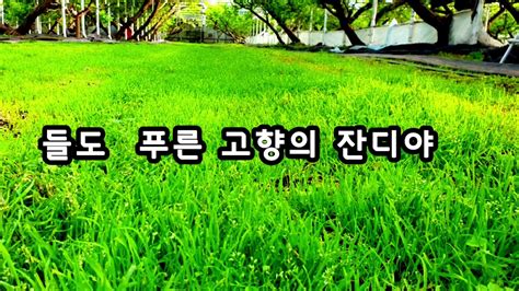 고향 의 푸른잔디 Youtube