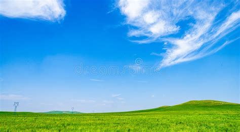 Exquisite Wallpaper Like Grassland Scenery Stock Image Image Of Blue