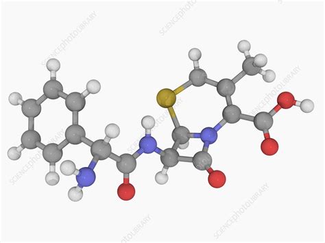 Cephalexin Drug Molecule Stock Image F004 6236 Science Photo Library