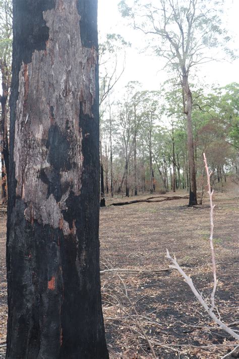 Spatial Distribution Hsie Teachers