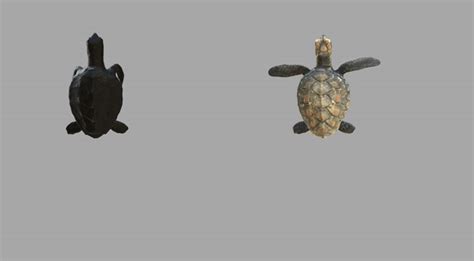 Face Ar Sdk V1 8 Improved Lips Segmentation Acne Removal