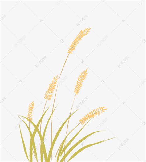秋收丰收简笔画金色粮食麦子收获季节手账贴纸素材图片免费下载 千库网