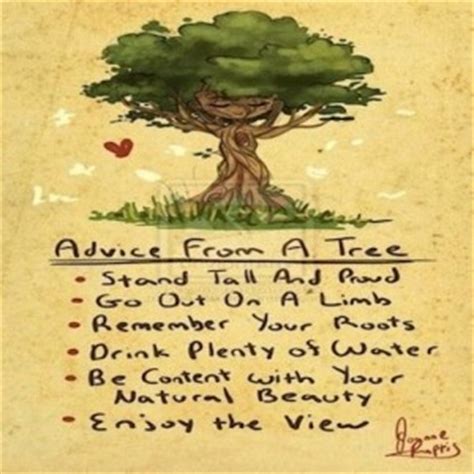 Tree Of Life Quotes QuotesGram