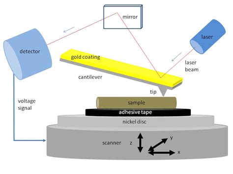 Sample Holder Atomic Force Microscopy At Alannah Thwaites Blog