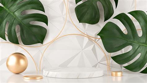 화장품 및 패키지 프리젠 테이션을위한 추상 배경 장면 스톤 포디움 디스플레이 3d 렌더링 0명에 대한 스톡 사진 및 기타 이미지 Istock