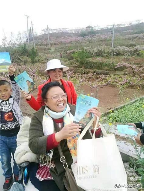 全國文賽冠軍劉麗娟佳作讀陽光老師輪椅不倒 志願永恆有感 每日頭條