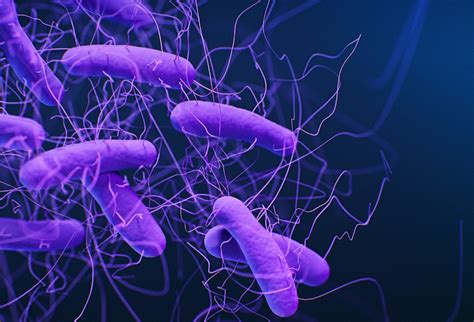 Clostridioides Difficile Management For The Gastroenterologist Practical Points