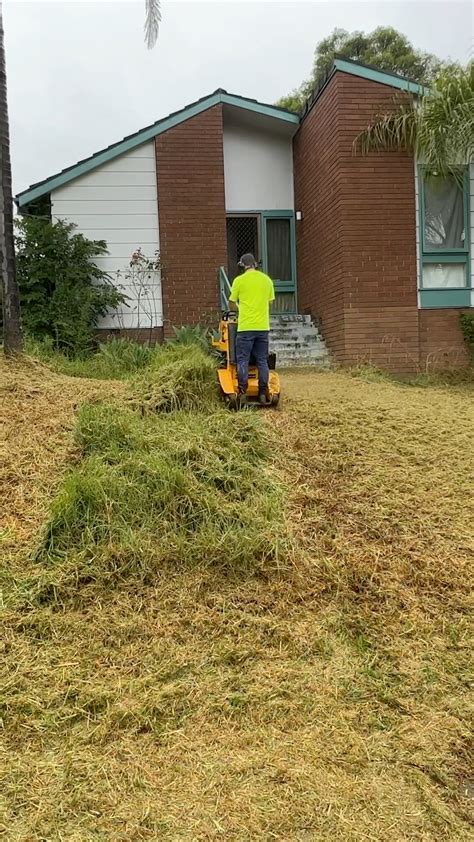 Vlog 19 Million Dollar Grass Eater Vlog 19 Million Dollar Grass