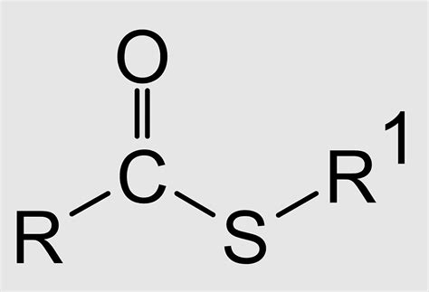 Anhydride Functional Group