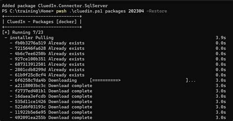 Extension Packages Cluedin Documentation