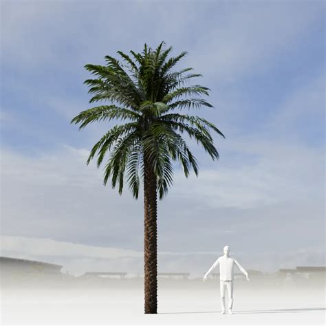 Artstation Dactylifera Palm Tree Game Assets