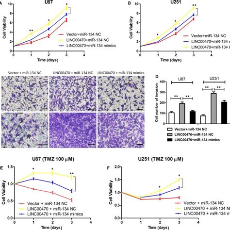 Rt‐qpcr Showed That Linc00470 Was Up‐regulated In Glioma And Promoted