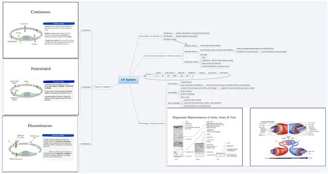 CV System Squeezethemoose Xmind